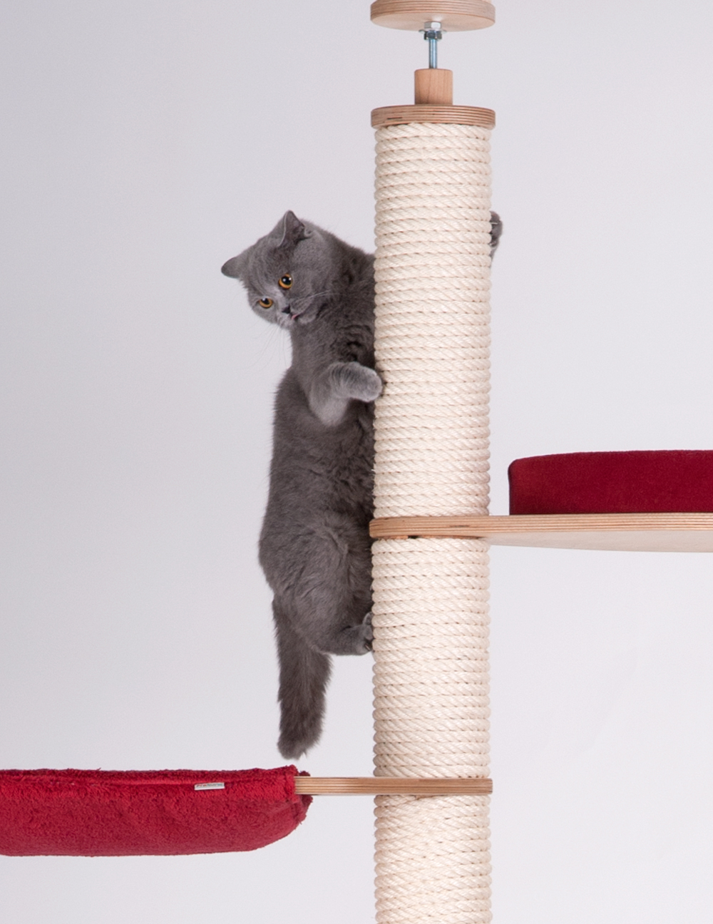 Profeline Kratzbaum - Katzen Kratzbäume direkt vom Hersteller.