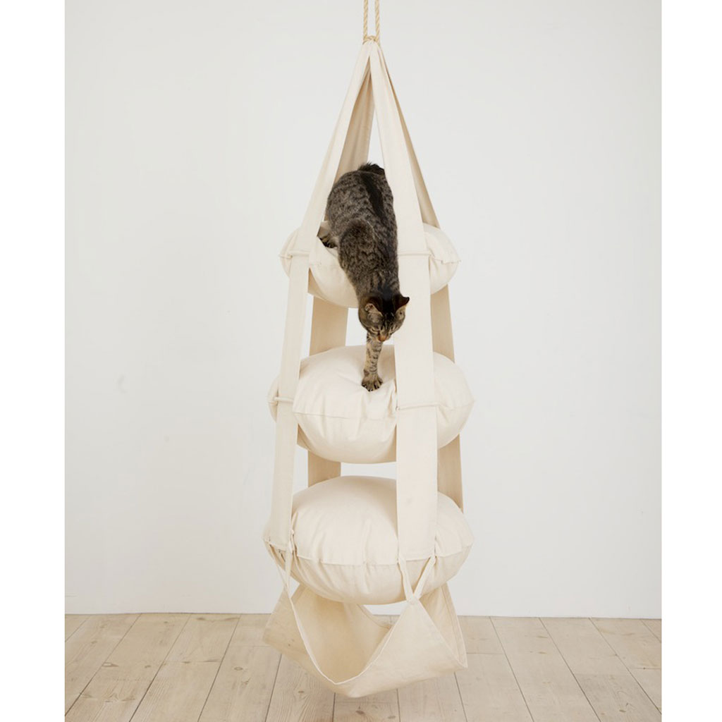 the_cat_trapeze - Profeline