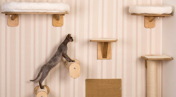 Katzen Kletterwand Profeline