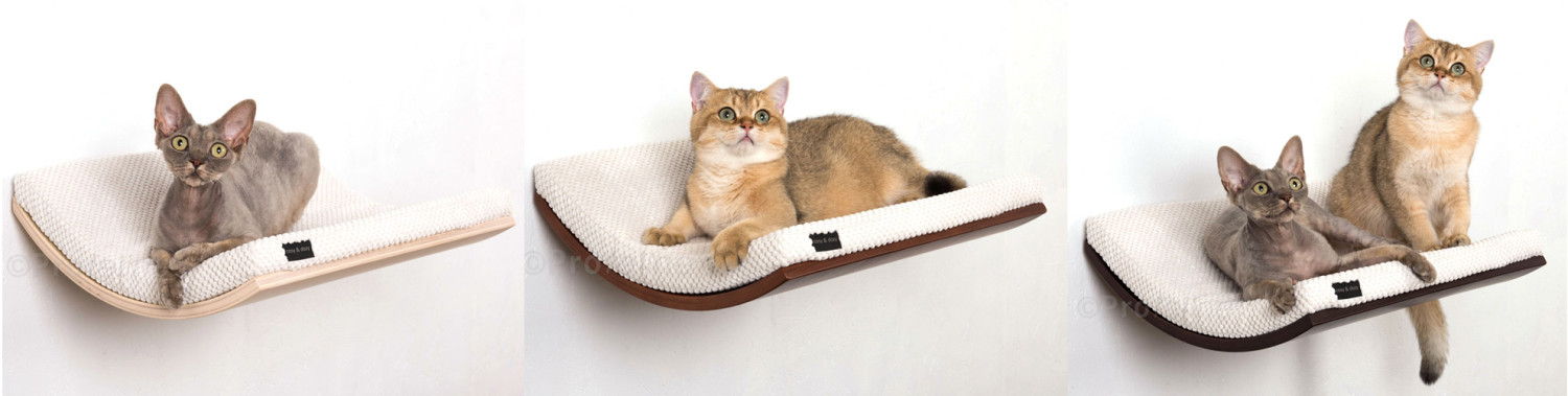 Wall-mounted Cosy & Dozy cat shelves for your cat wall