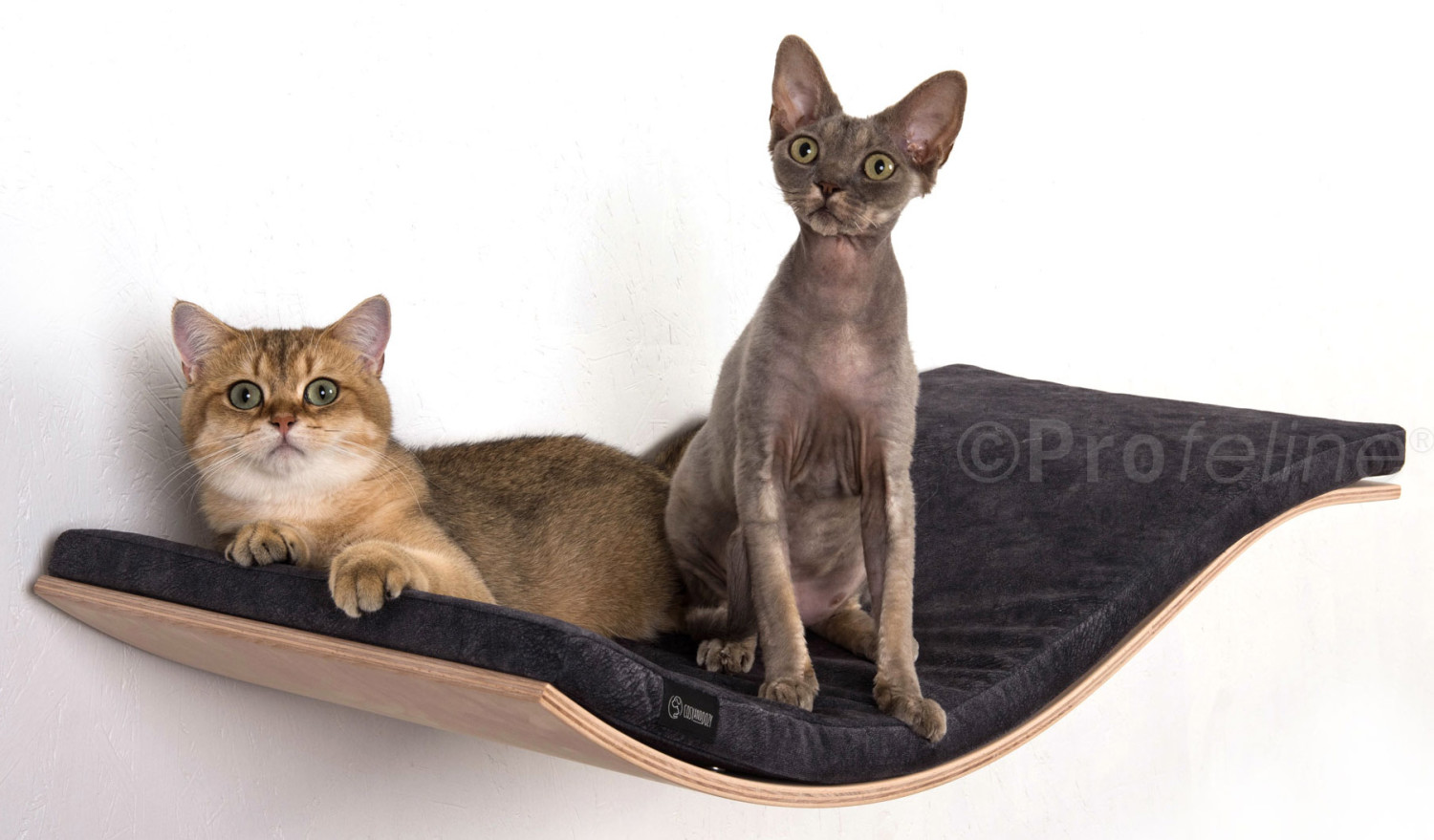 Wall-mounted Cosy & Dozy cat shelves for your cat wall